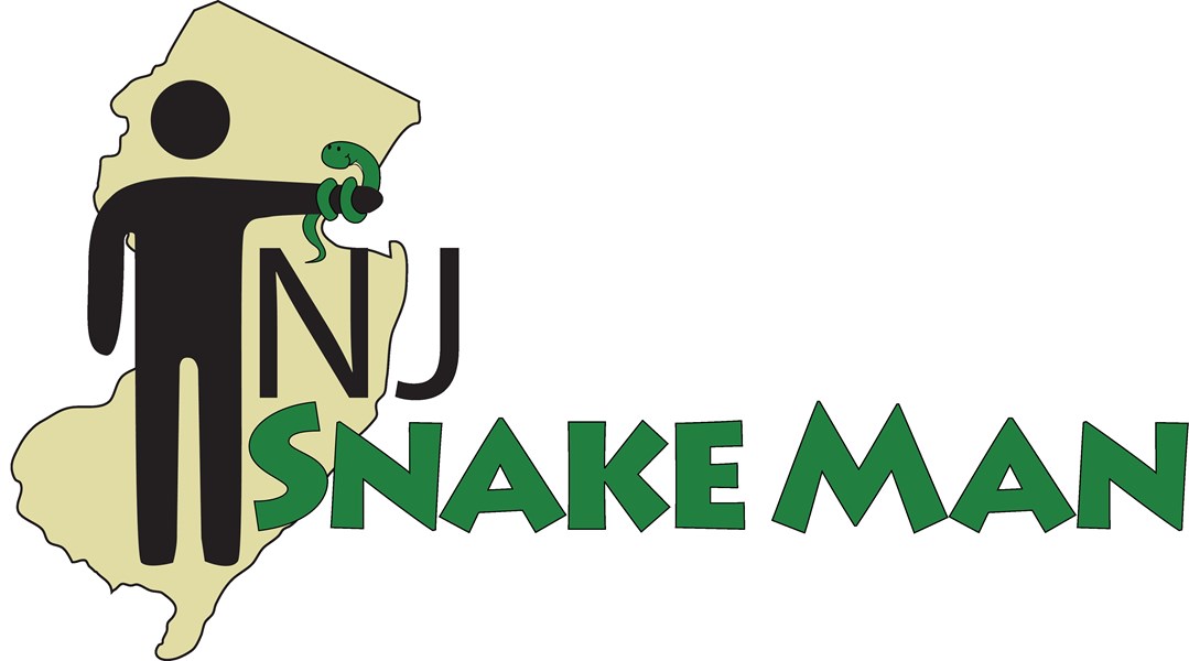 NJ Snake Man - Reptile Show Dover, NJ | GigMasters